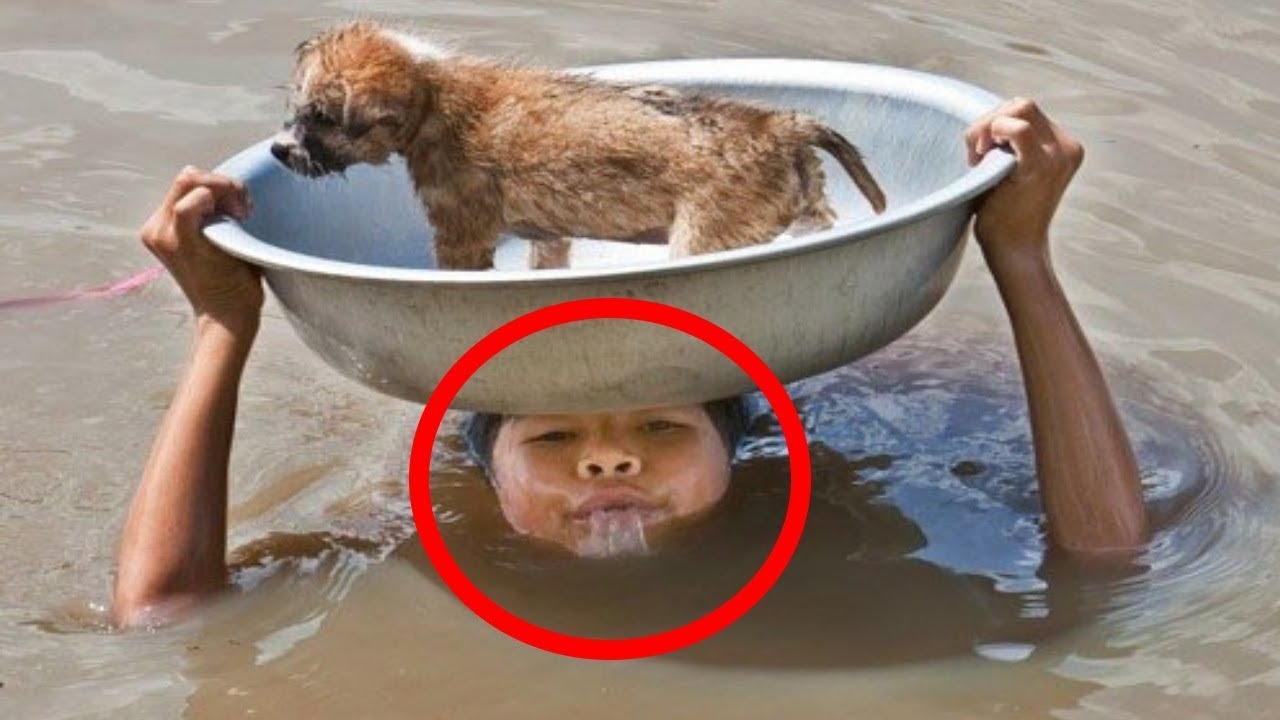 10 AMAZING Animal Rescues THAT WILL SHOCK YOU! - YouTube