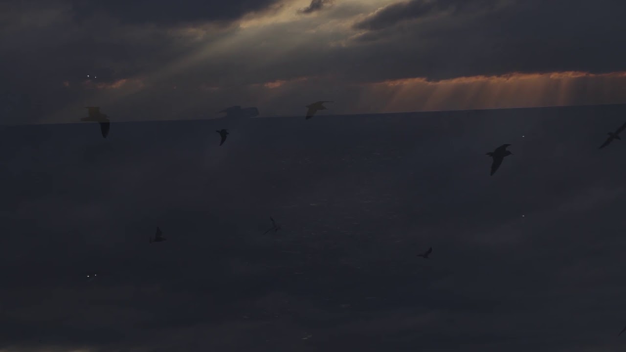 Video Art Project - Ntr Loop - Video Sanatı - YouTube