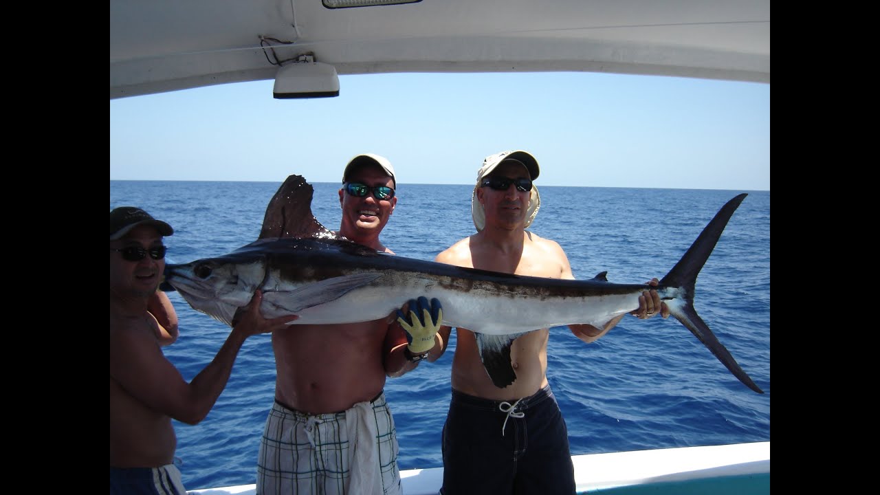 Dry Tortugas Fishing 2014 - YouTube