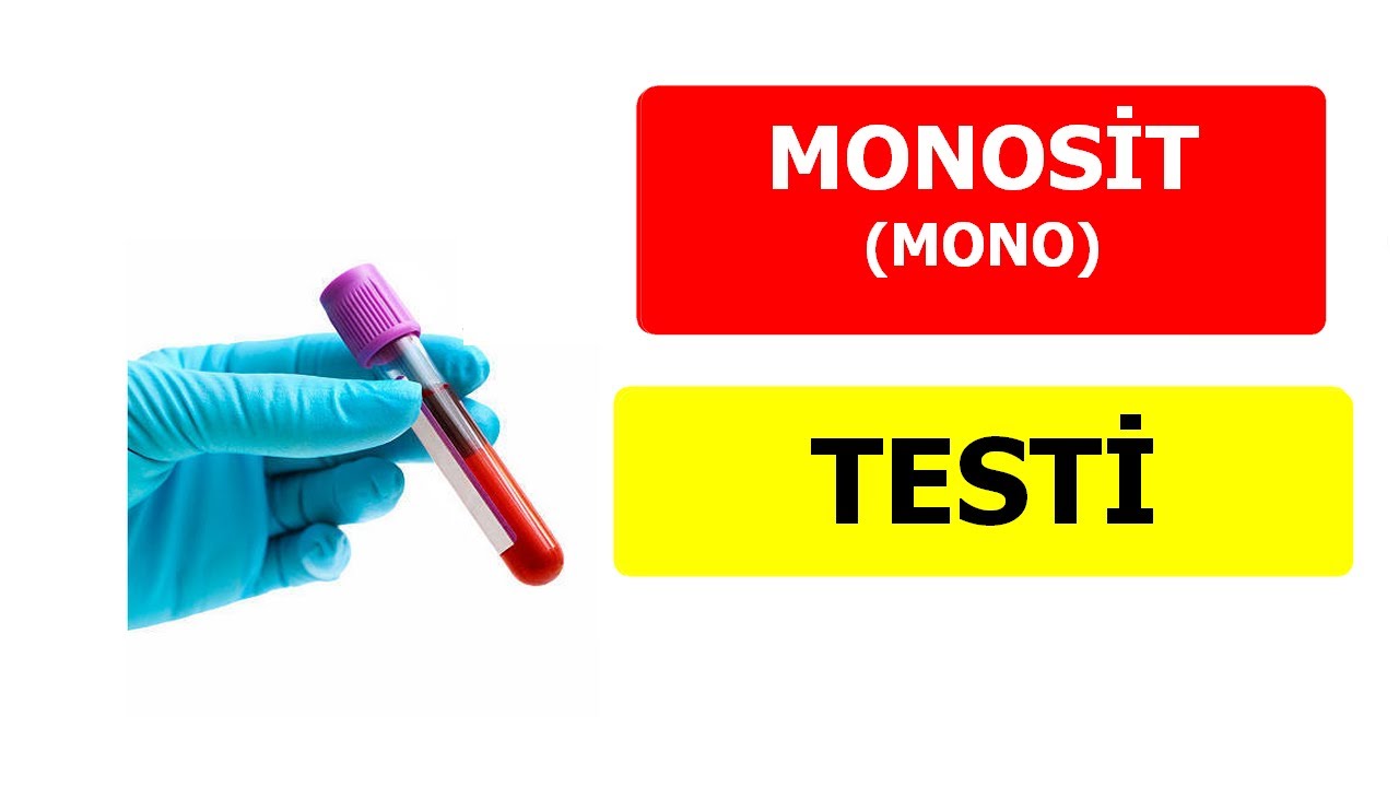 MONOSİT (MONO) YÜKSEKLİĞİ ve DÜŞÜKLÜĞÜ NE DEMEK ? - YouTube