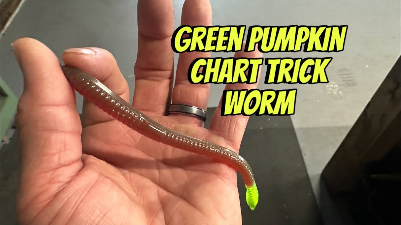 New Members Vid!… Green Pumpkin Chart Trick Worm - YouTube