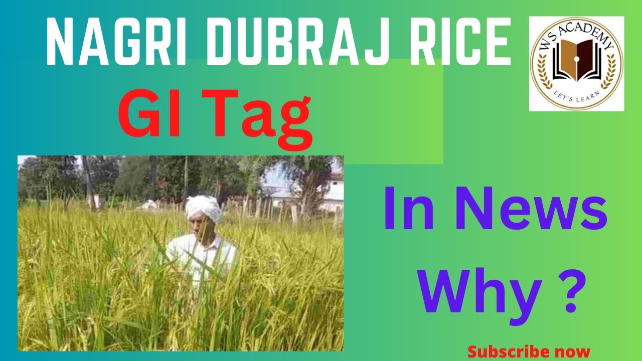 Nagri Dubraj Rice || Current Affairs|| GI Tags - YouTube