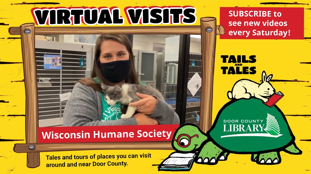 Virtual Visits: Wisconsin Humane Society - YouTube