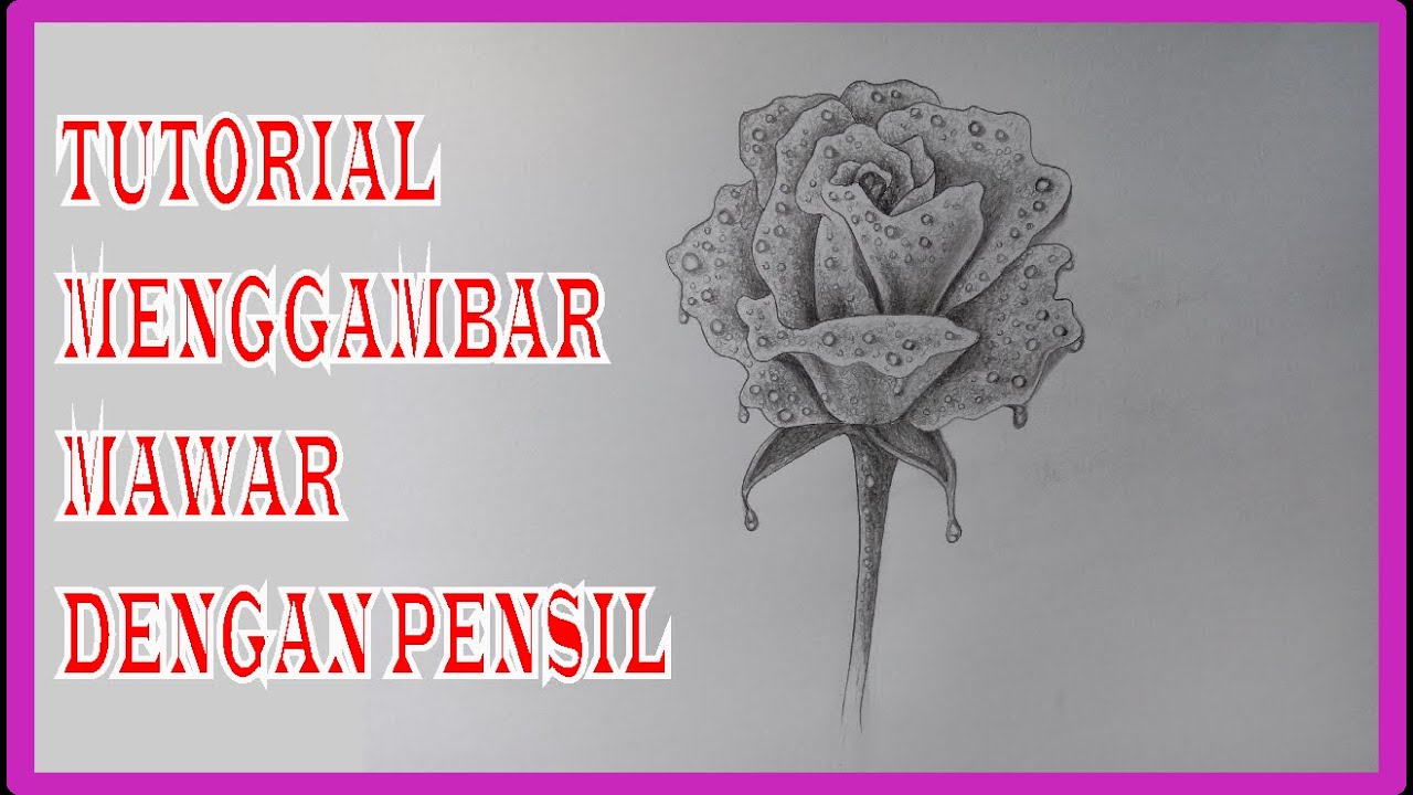 Belajar Menggambar Bunga Mawar | HOW TO DRAW A ROSE - YouTube