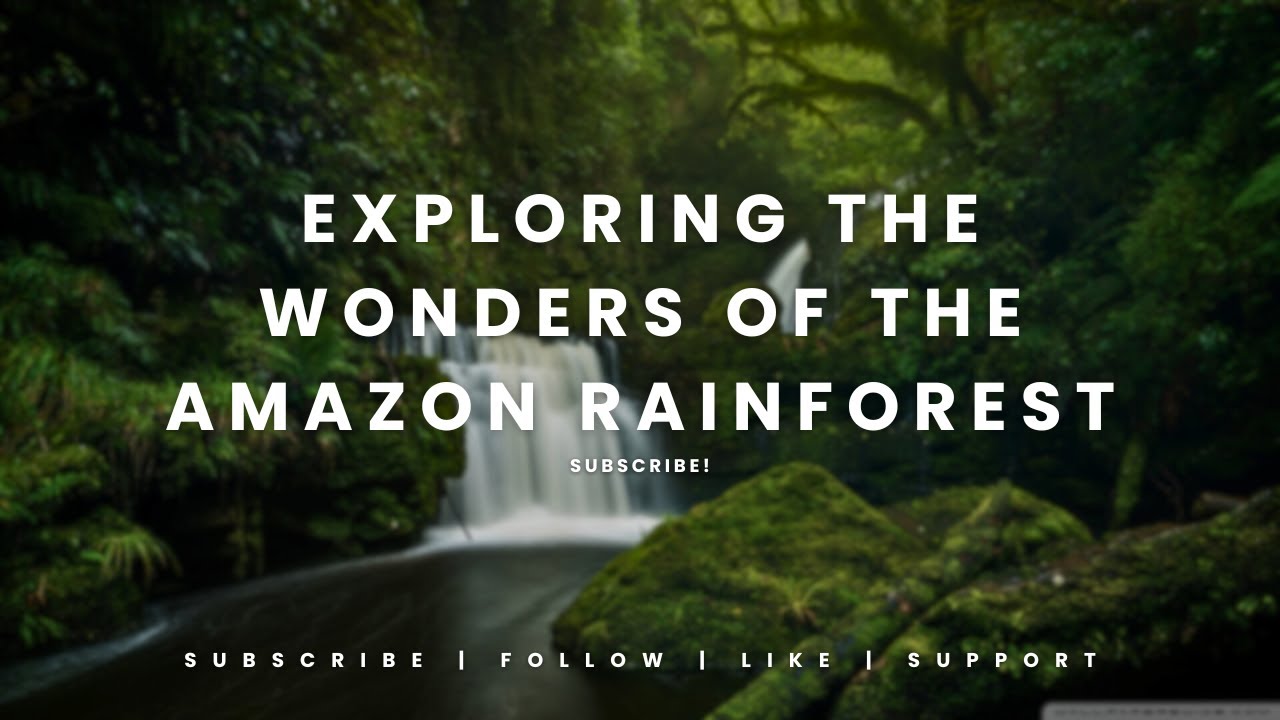 Discover the Amazon Rainforest: Nature's Oxygen Factory 🌳 - YouTube