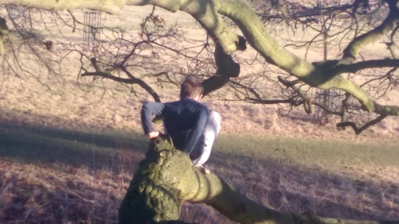CHILD FALLS OF TREE!!!!!! Part 2 - YouTube