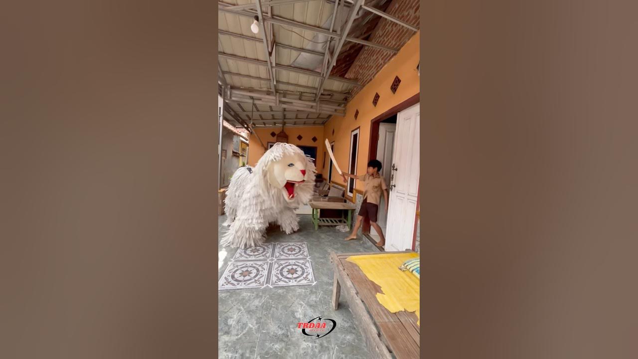 Bocil ff keluar rumah ada can macanan masuk lagi bawah pedang serang can macanan - YouTube