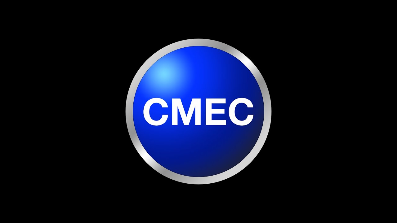 Rapid Static Segregation - YouTube