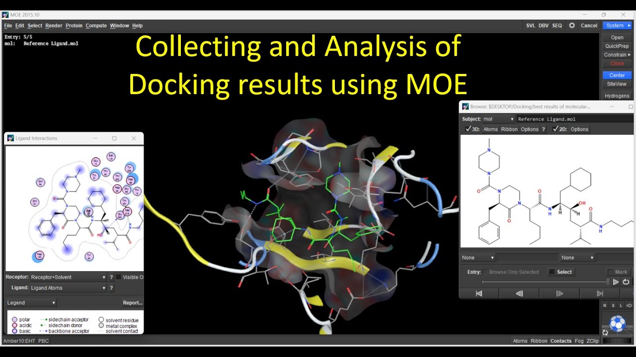 Collecting and analysis of molecular docking results - YouTube