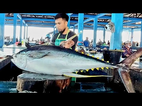 Wow Big and Fresh ‼️ 45 Kg Tuna Fish Cutting Luxury Food Order Ratu Rasa Maybrat Restaurant