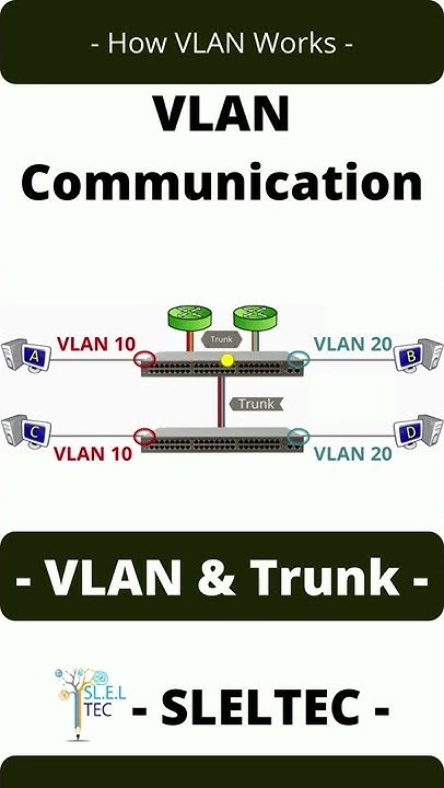 How work VLANs - YouTube
