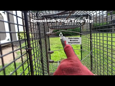 Comstock Cage Trap Trigger Wire Modification | A Little Bend = Fewer Misses - YouTube