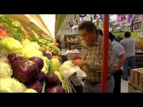 Clips from Food Inc - YouTube