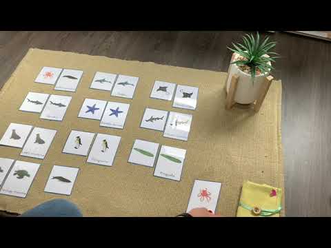 Tarjetas en 3 partes Montessori - YouTube
