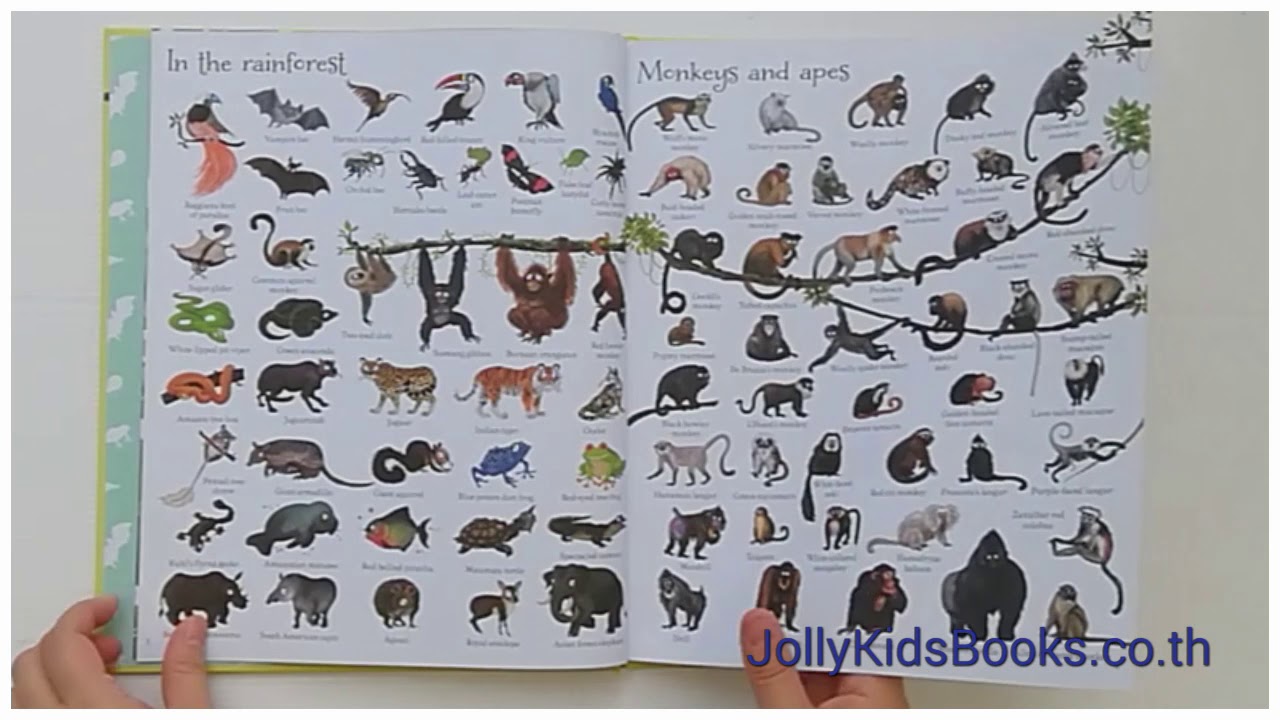 1000 animals book - YouTube