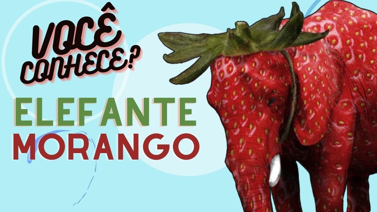Você conhece: Elefante Morango? - YouTube