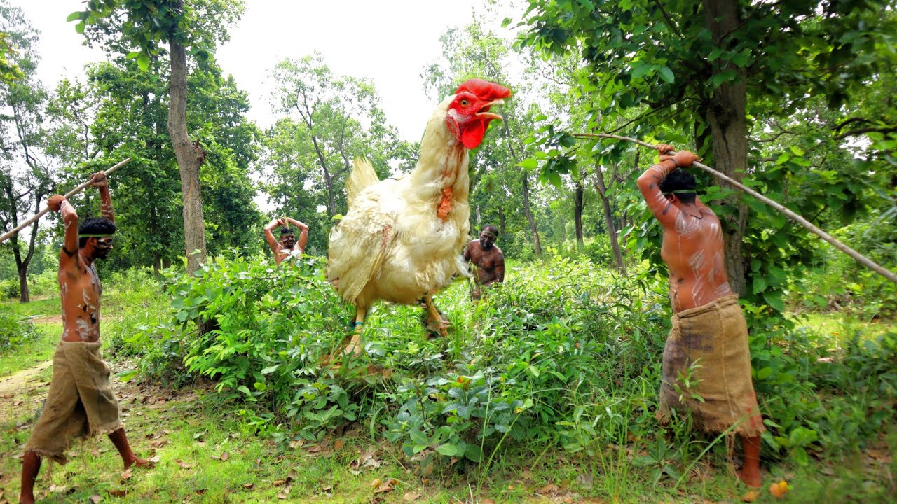 Hunting Chicken! at Forest || Jungle boy's Prepared HANDI CHICKEN - YouTube