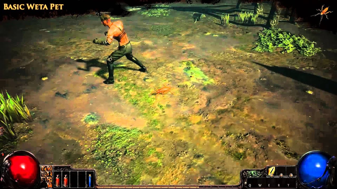 Path of Exile - Basic Weta Pet - YouTube