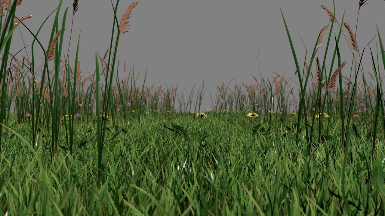 Grass CGI Preview - YouTube