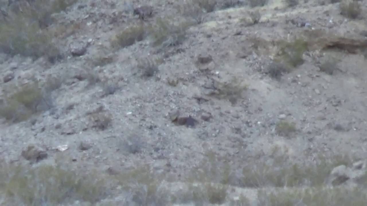 SU-16A Pt 2: FULLY UPGRADED @650 - YouTube