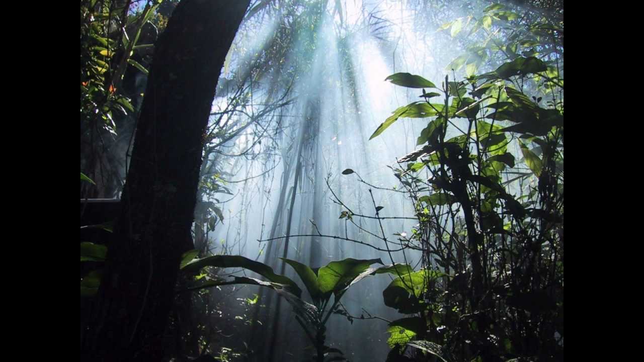 "Jungle Dance" - Original Song - YouTube