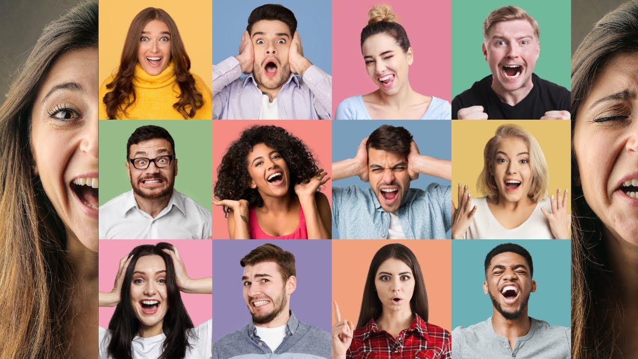 L’ odyssée des sentiments : Comprendre et maîtriser l'émotion humaine ...