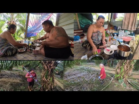 RUTIN DI KEBUN SAWIT, MAKAN TENGAHARI & BALIK KE RMH #ukaisenangkasenang 