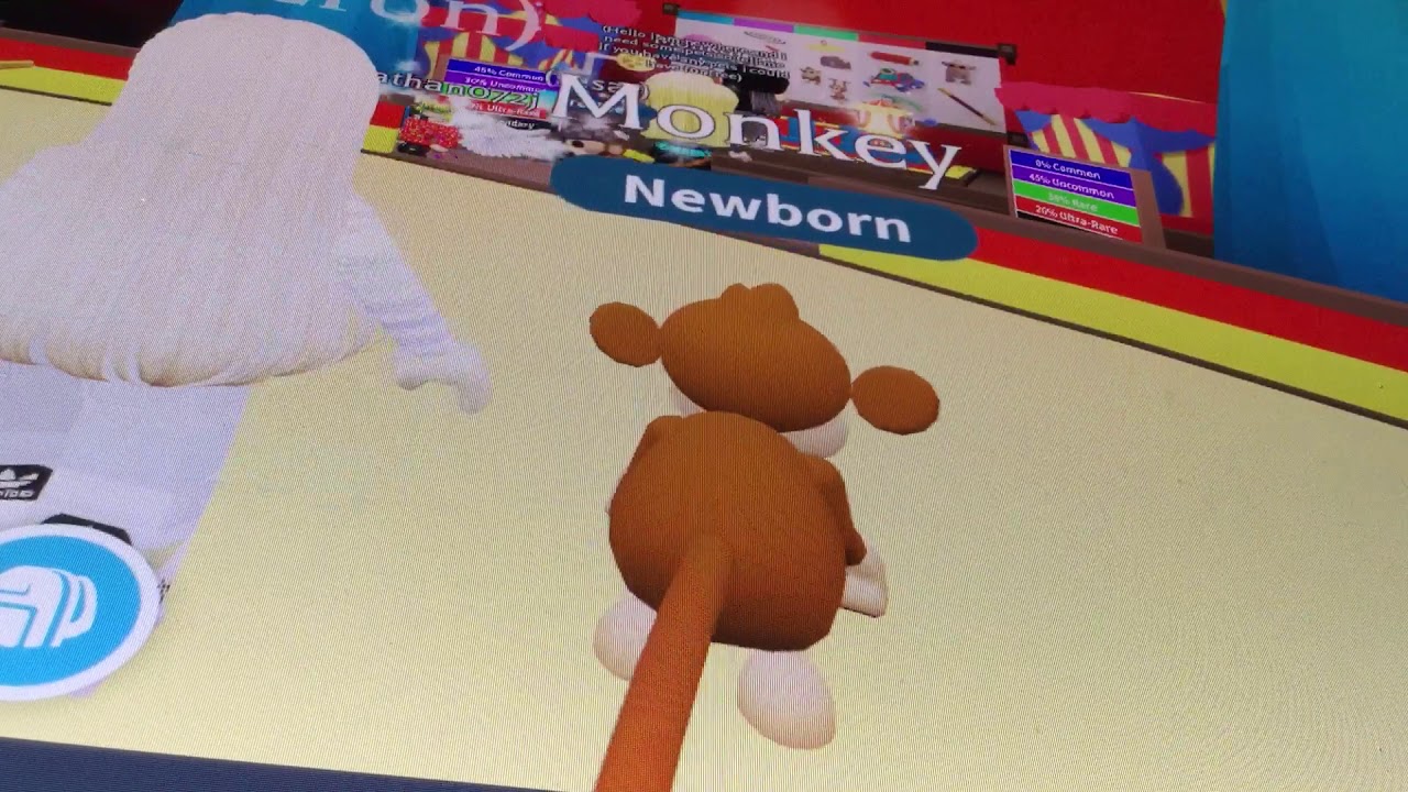 There is a new monkey update in adopt me.....well here we go!!! - YouTube