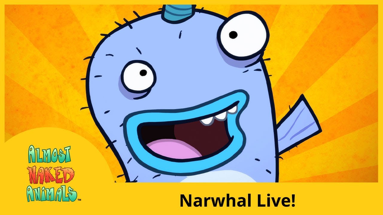 Almost Naked Animals - Narwhal Live! - YouTube
