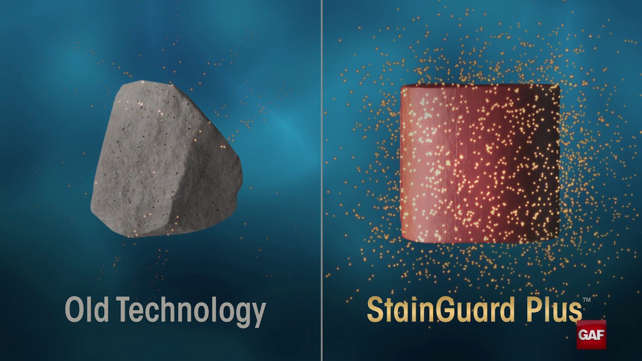 How to Prevent Roof Algae on Your New Roof | GAF StainGuard Plus ...