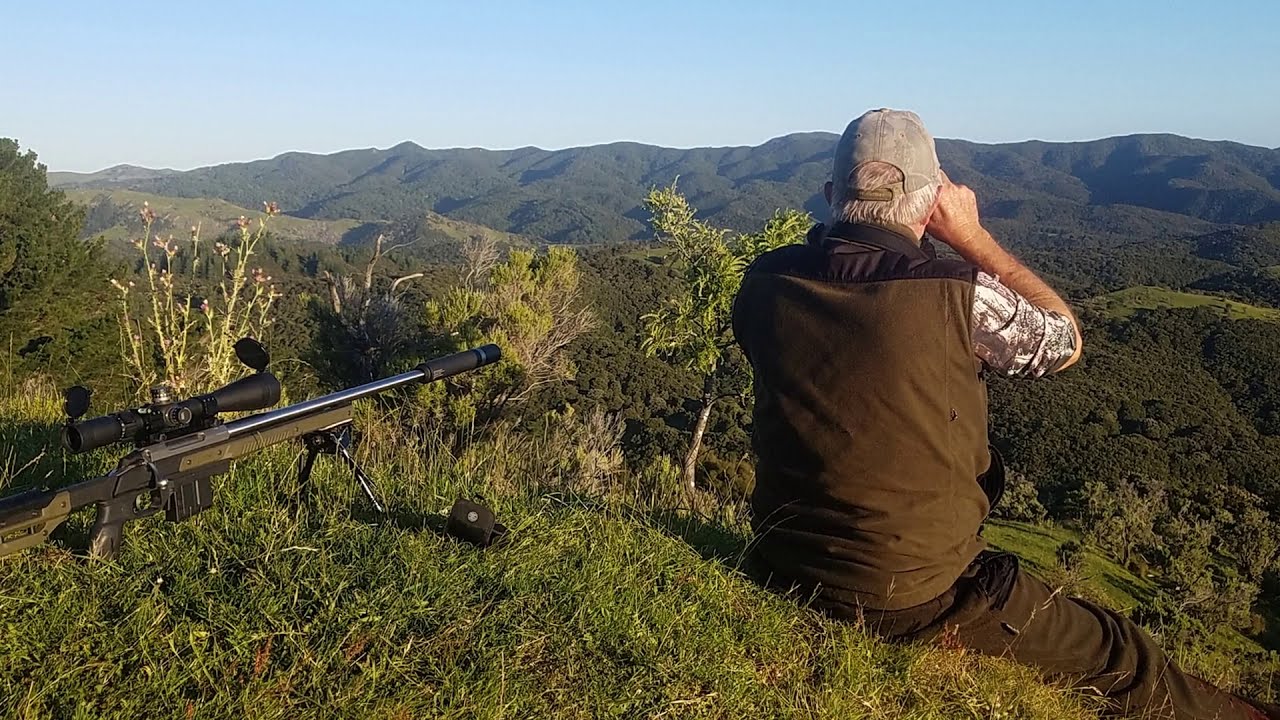 Long Range Red Deer Hunting New Zealand (Mid Dec) - YouTube