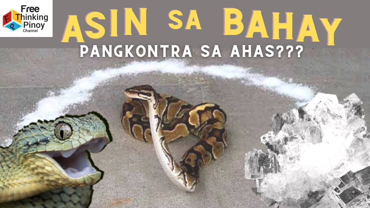 WOW! DeLiKAdo BA sa AHas ang ASIN sa Paligid?? Ganito Pala ang Mangyari ...