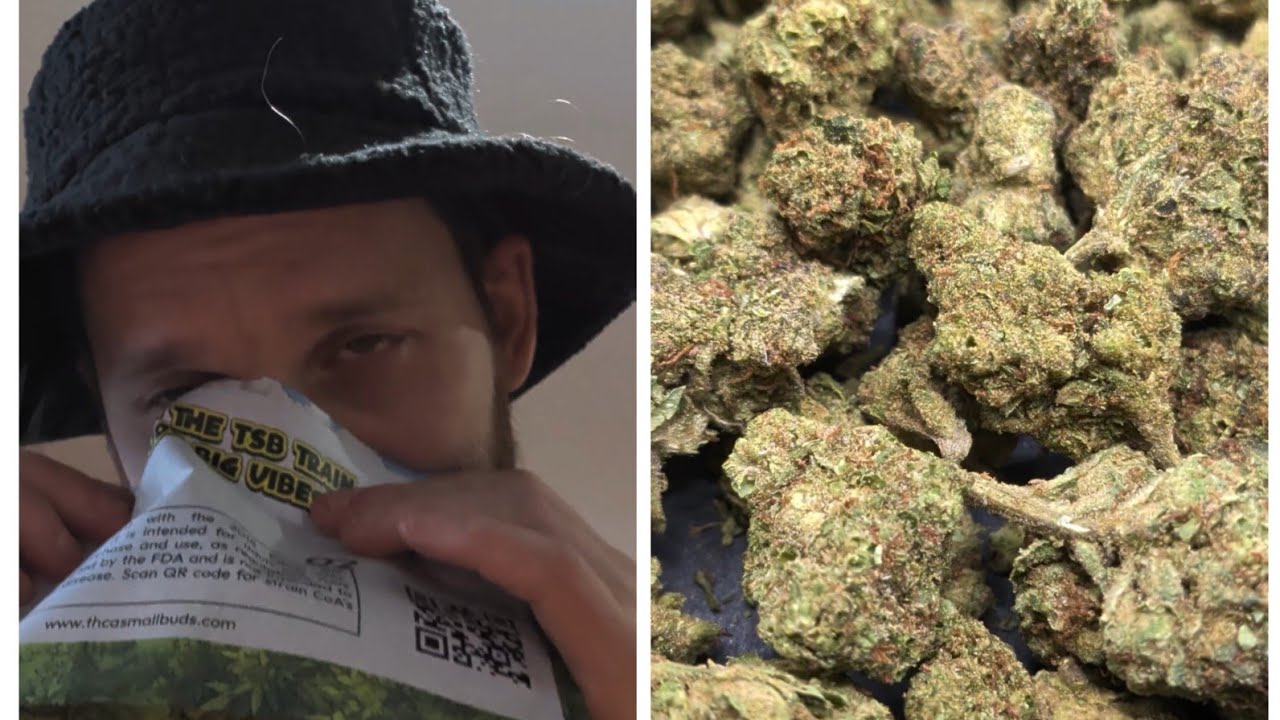 "jungle juice" thca small buds clearance hemp - YouTube