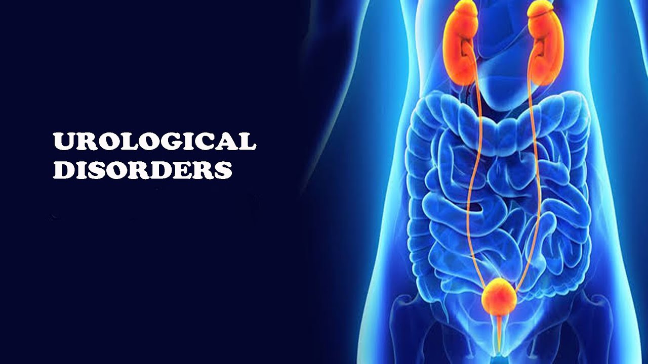 UROLOGICAL DISORDERS I URINARY TRACT INFECTION I UTI I KIDNEY STONES I ...