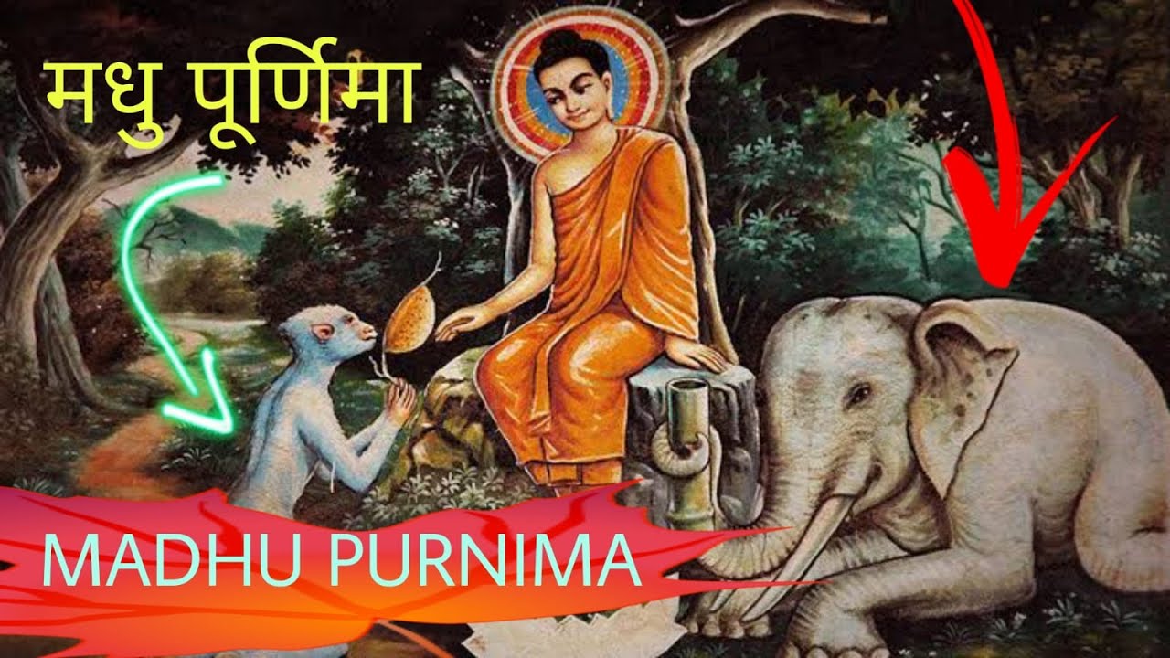 Madhu Purnima || modhu purnima || Gautama Buddha || Buddhist Story ...