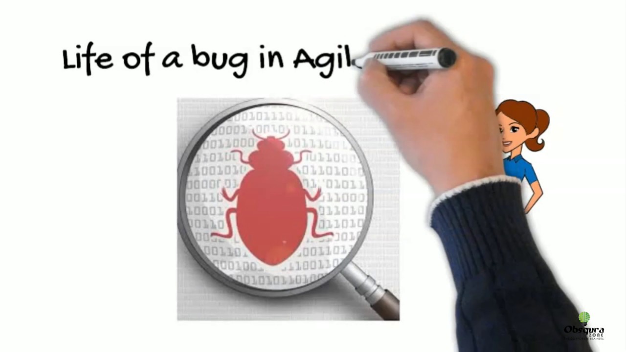 Agile Bug Life Cycle #Agile #Bug #ManualTesting - YouTube