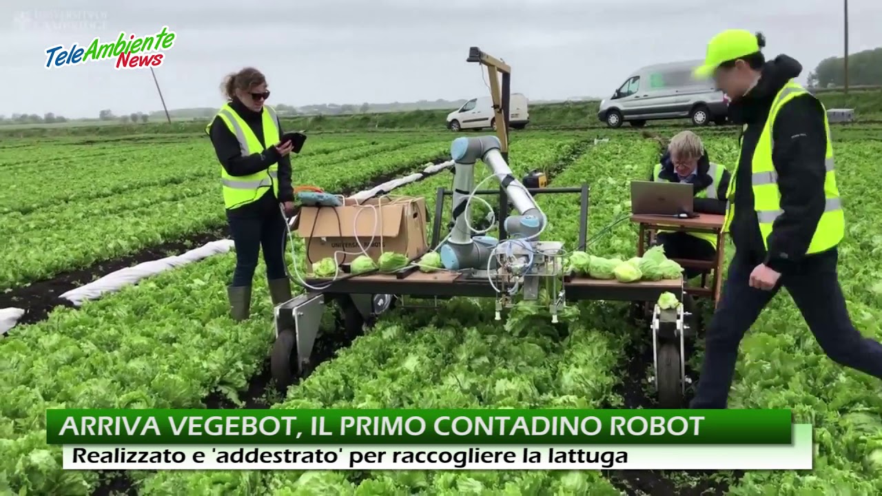 ARRIVA VEGEBOT, IL PRIMO 'CONTADINO ROBOT' - YouTube