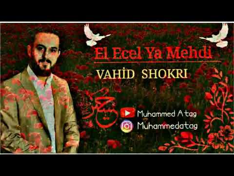 Vahid Shokri ~ El Ecel Ya Mehdi 2019 Sinezen