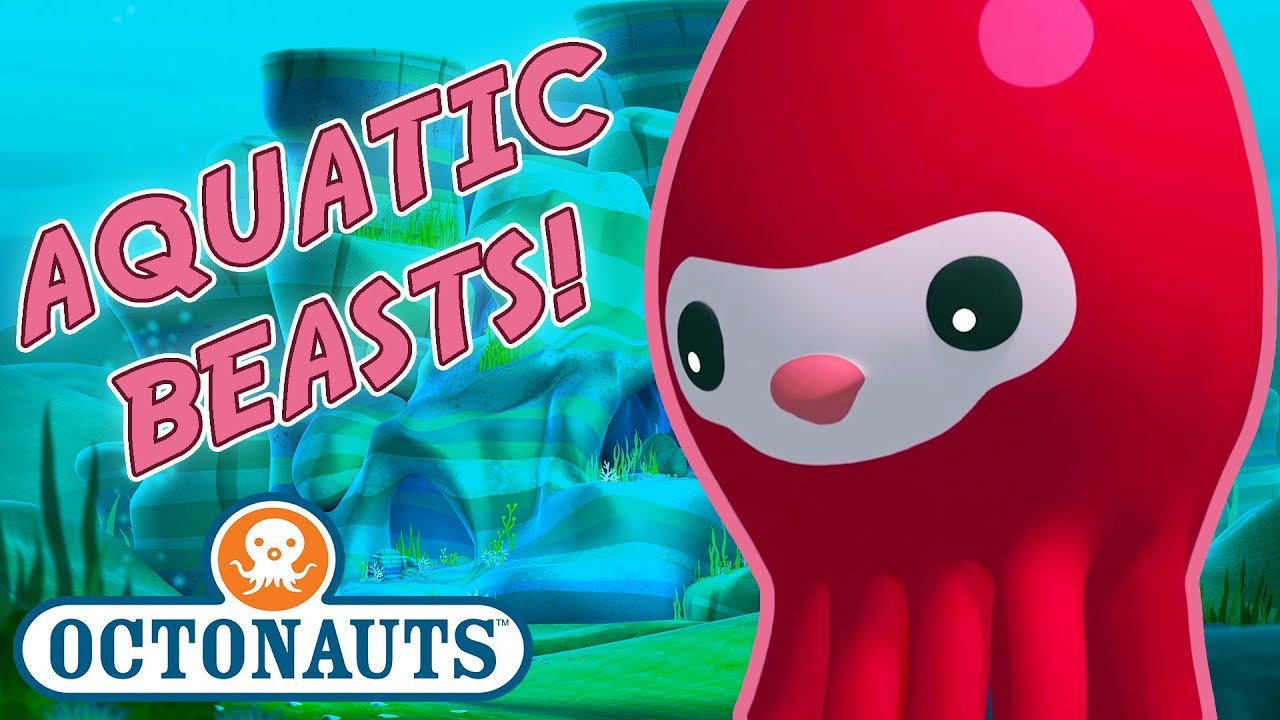 Octonauts - Learn about Aquatic Beasts | Cartoons for Kids | Underwater ...