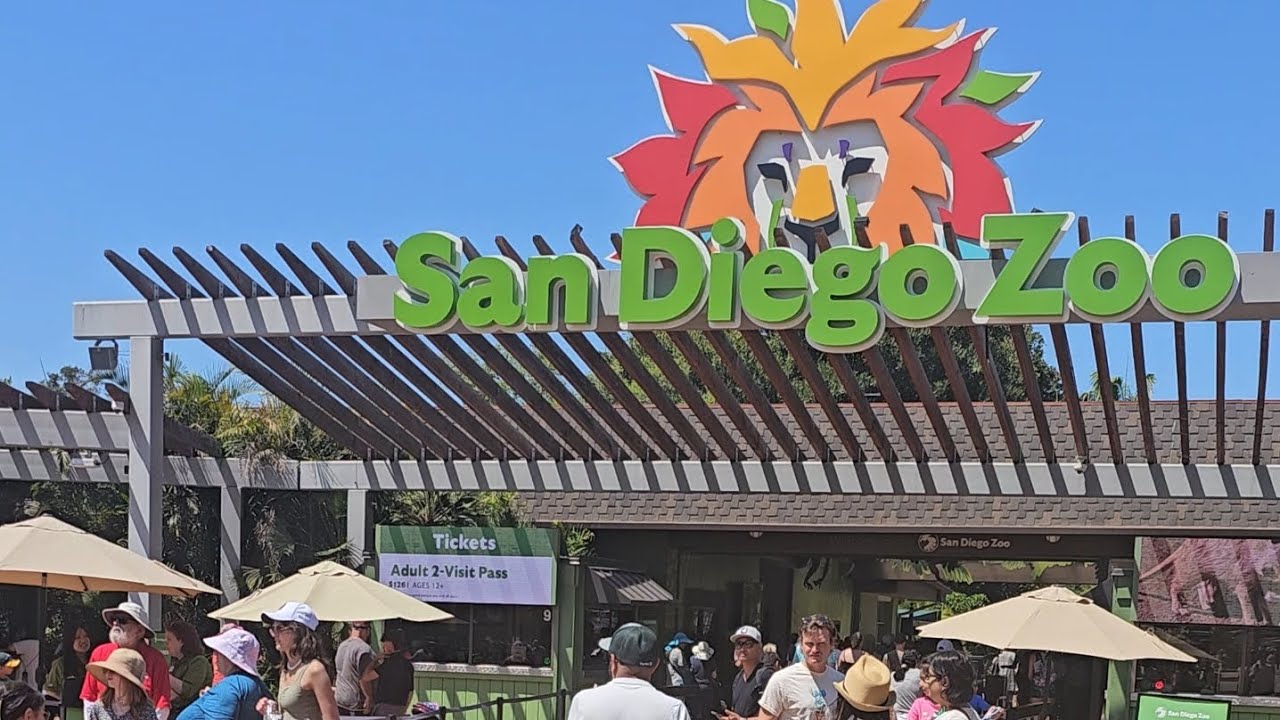 walking into san diego zoo for the first time... - YouTube