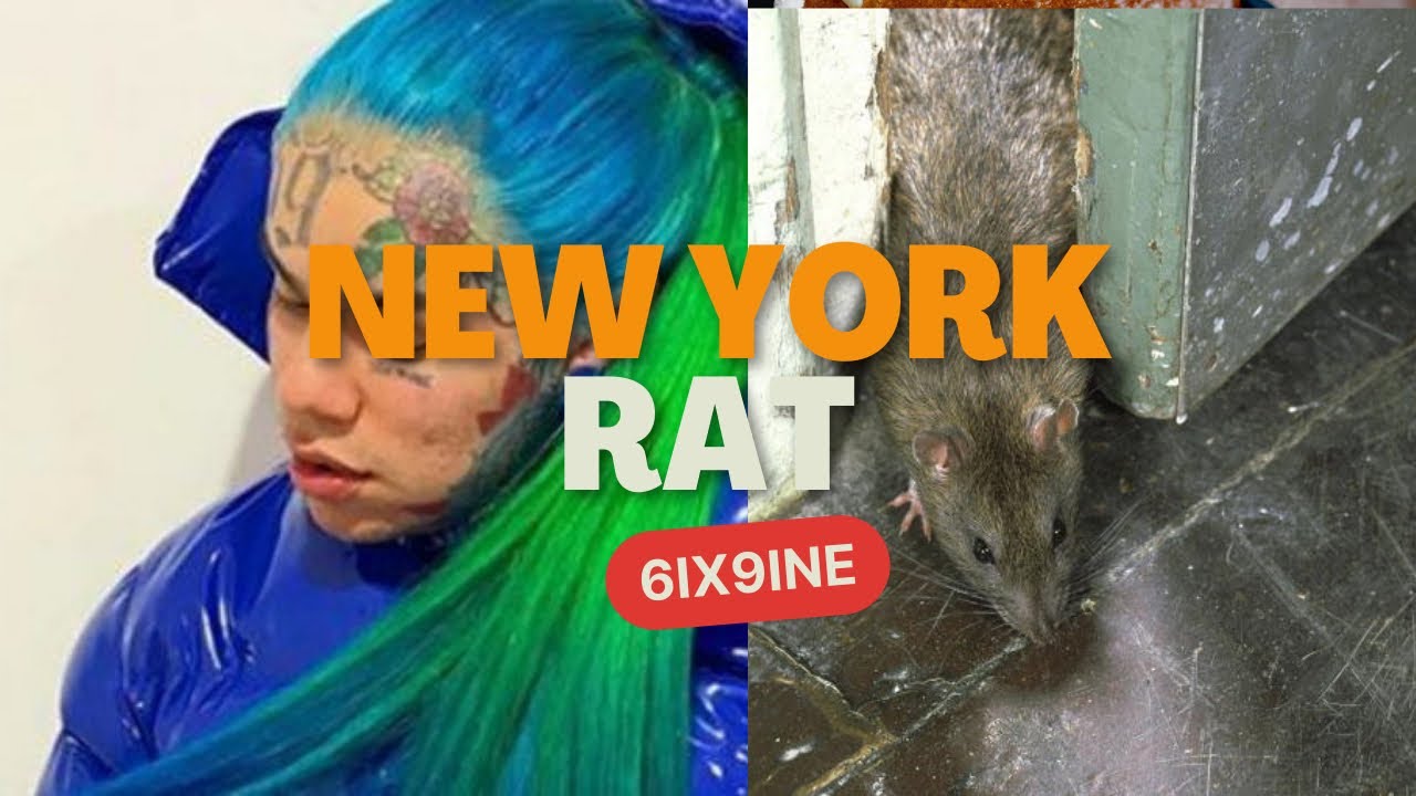 RAT 6IX9INE’S GIRLFRIEND ARRESTED FOR ALLEGEDLY PUNCHING TEKASHI - YouTube