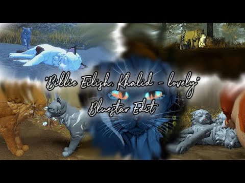 Warrior Cats WCUE Bluestar "Billie Eilish, Khalid - lovely" Edit - YouTube