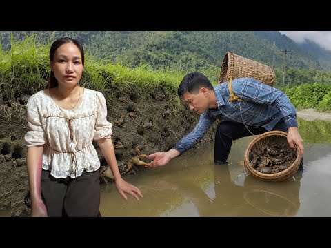 Catching giant freshwater crabs in deep burrows | The process of making crab fish sauce