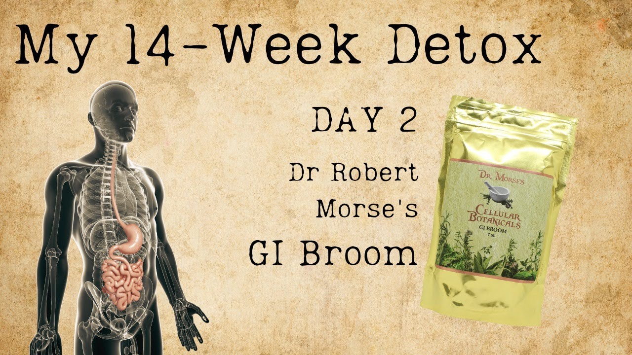 Day 2 | The GI BROOM - YouTube