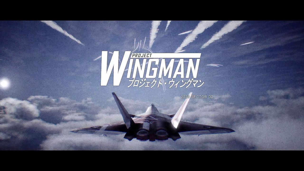 Project Wingman Mission 11 - Cold War (Mercenary) - YouTube
