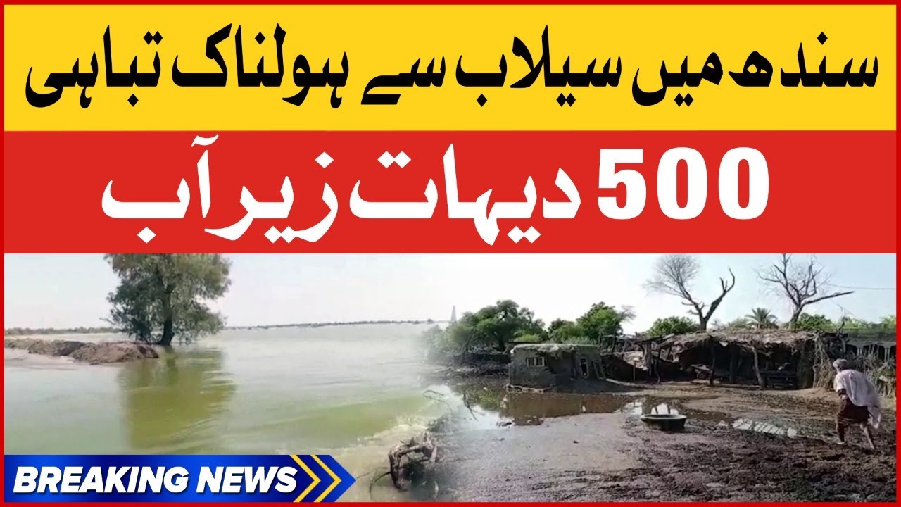 Heavy Flood Disasters In Sindh | Worst Condition Of Many Areas ...