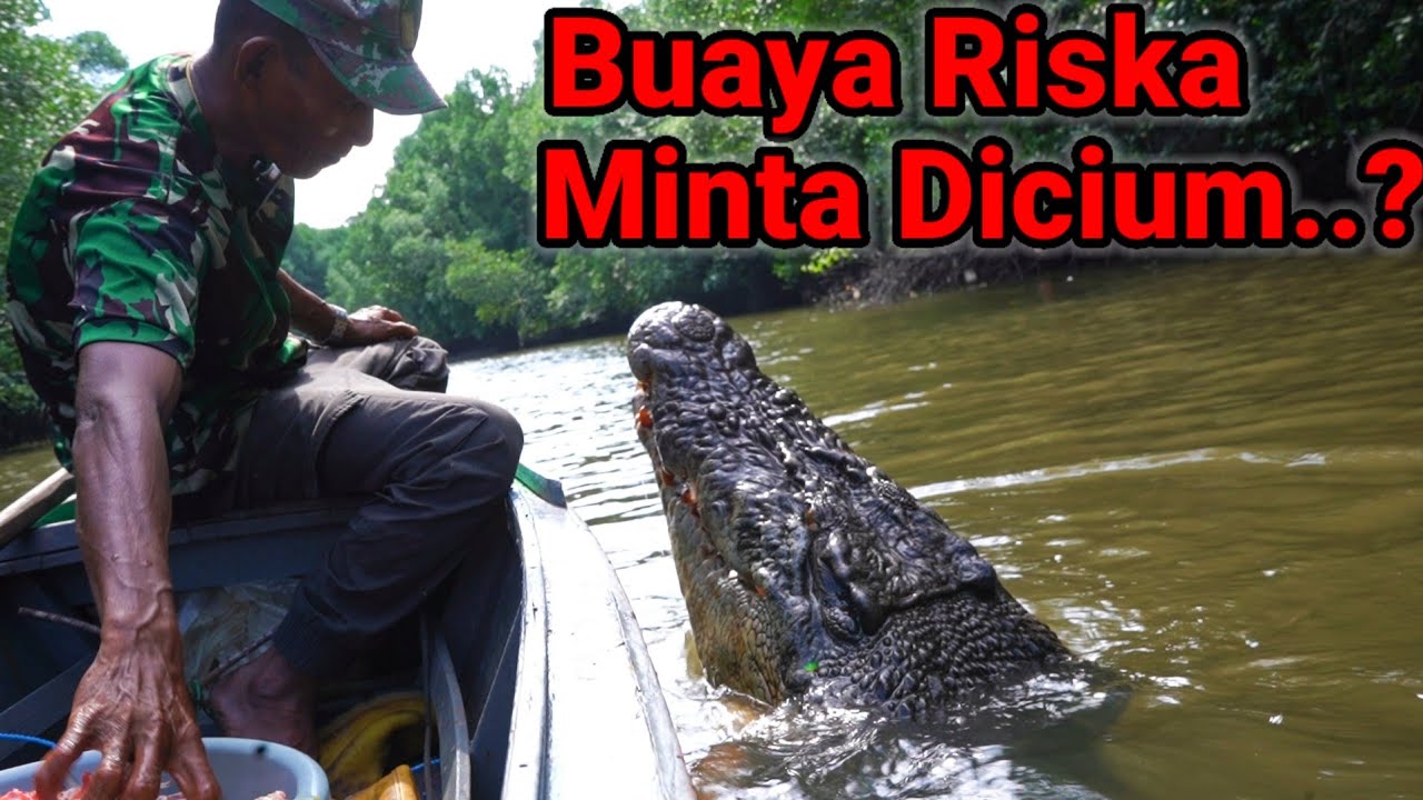 1 minggu baru ketemu riska,begini reaksi nya - YouTube