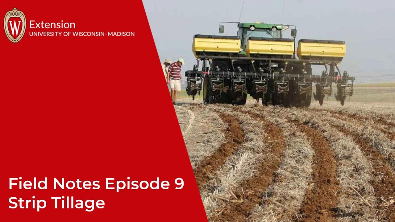 Field Notes Episode 9: Strip Tillage - YouTube