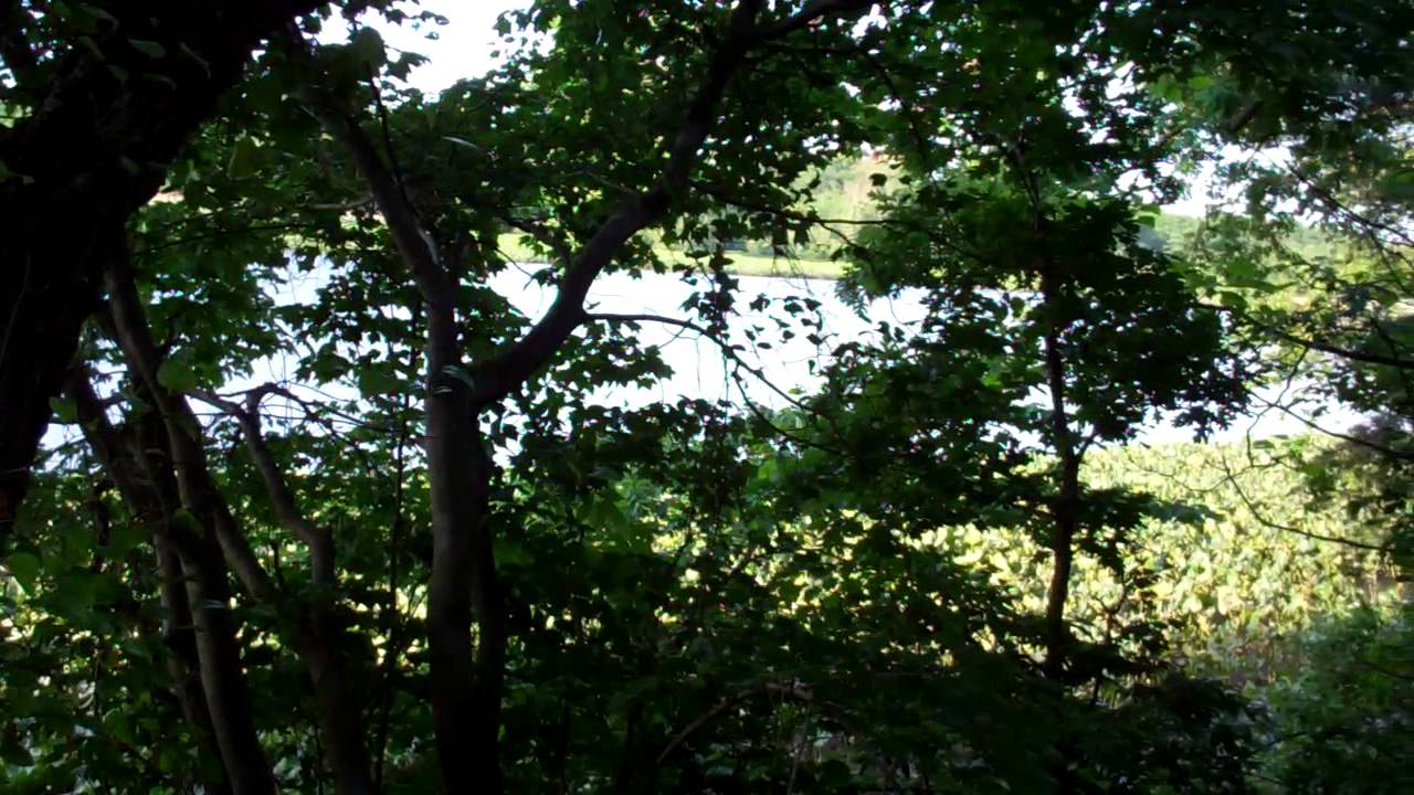Rancocas Pointe Trail 06052013 2 - YouTube
