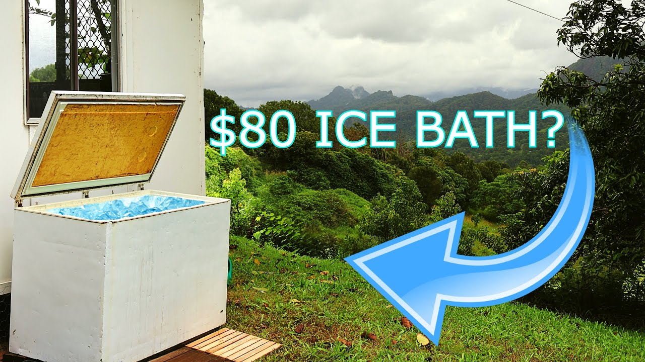 Turning an $80 MARKETPLACE Chest Freezer Into an ICE BATH Cold Plunge ...